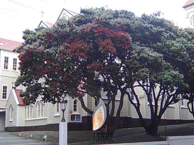 Wellington.Scoop » SCOOP SURVEY – choose your favourite Wellington ...