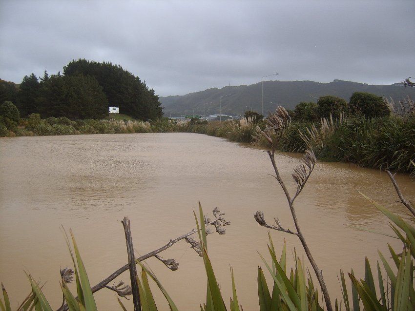 Wellington.Scoop » Porirua’s Okowai lagoon being converted into ...