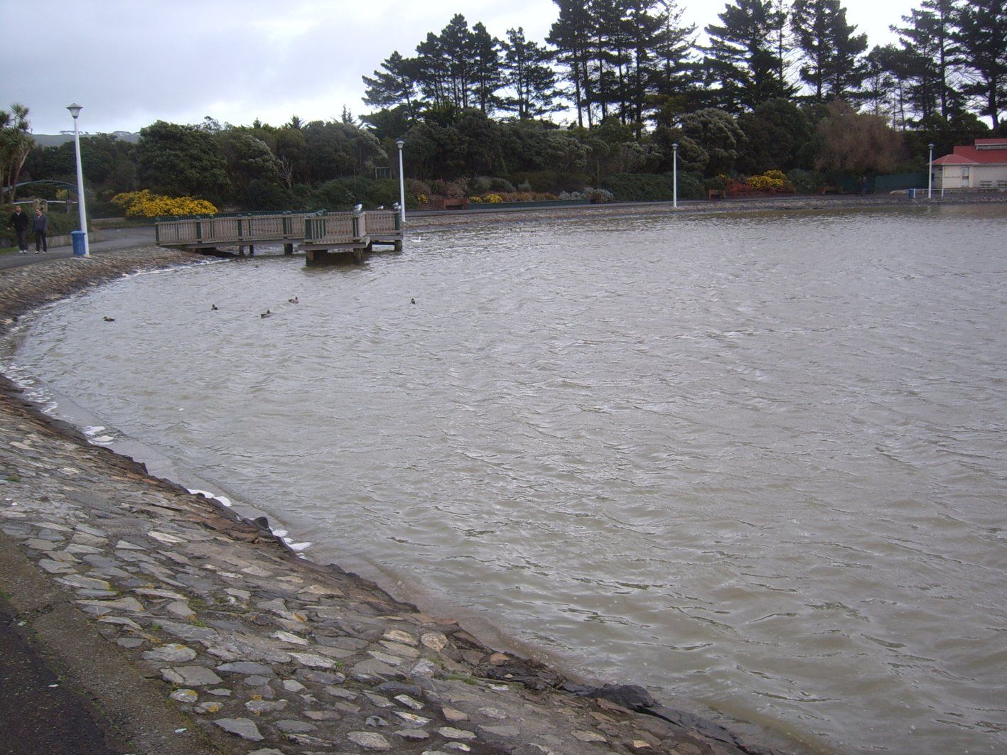Wellington.Scoop » Pollution in Aotea lagoon: councillor warns that ...
