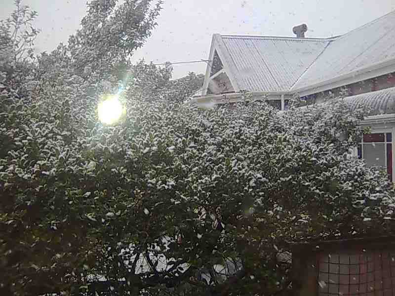 Wellington.Scoop » SCOOP PHOTOS: Wellington hit by morning and ...