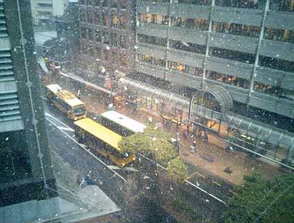 Wellington.Scoop » SCOOP PHOTOS: Wellington hit by morning and ...