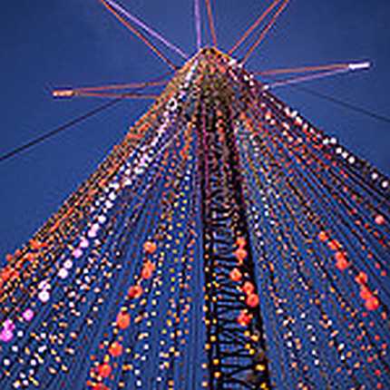 Wellington.Scoop » Telecom turns on 375,000 lights on its Christmas tree