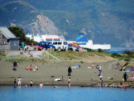 Wellington.Scoop » Summer on the south coast