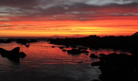 Wellington.Scoop » Moa Point – why it’s a special place
