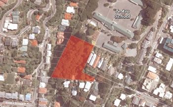 Wellington.Scoop » City buys gully in Aro Valley, with landscape values ...