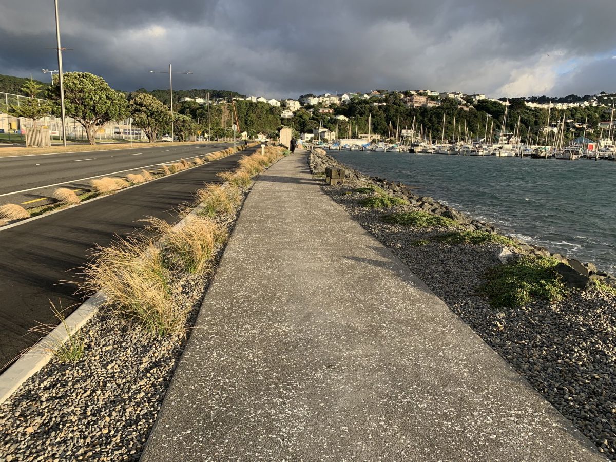 Wellington.Scoop » New Cobham Drive biking and walking paths blessed ...