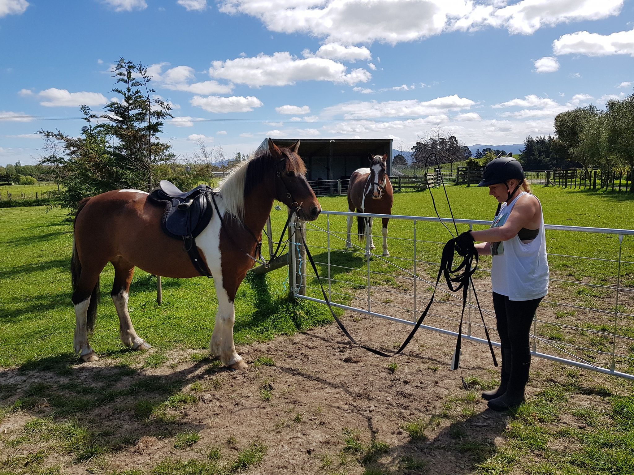 Wellington.Scoop » A second year in the country