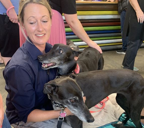 Wellington.Scoop » Adopting greyhounds – fund-raising (with beer) for ...