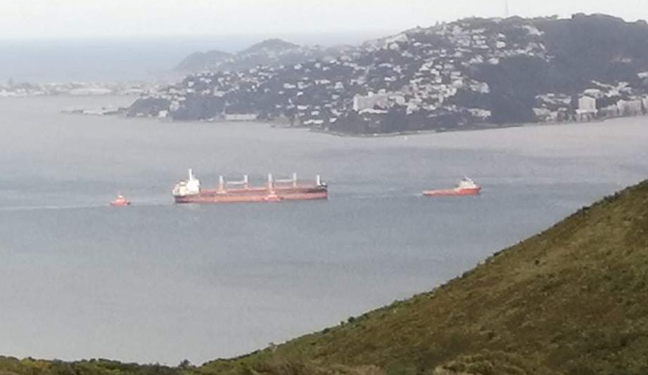 Wellington.Scoop » Bulk carrier towed to Wellington after mechanical ...