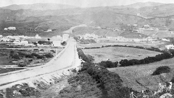 Wellington.Scoop » Archaeology in Newtown