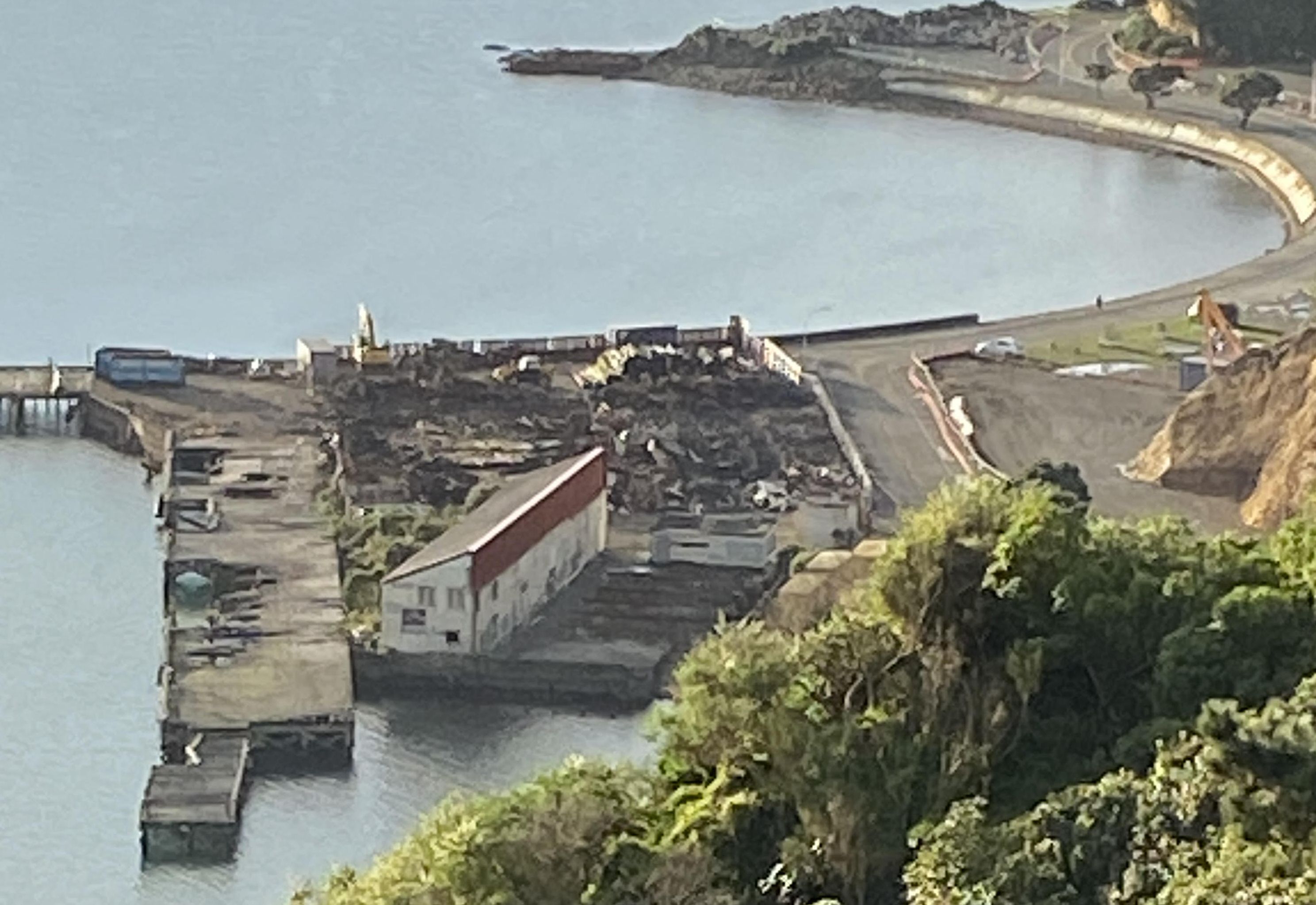 Wellington.Scoop » Fire site being cleared before arson investigation ...