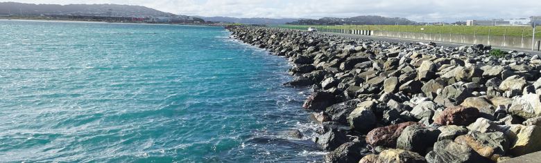 Wellington.Scoop » Holding back the tide