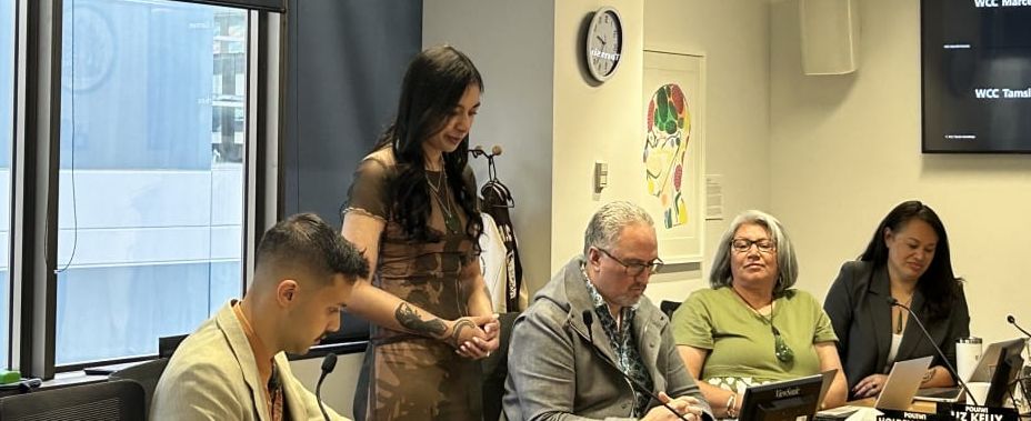 Wellington.Scoop » Decisions on what to spend as WCC debates its ten ...