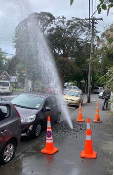 Wellington.Scoop » Geyser from broken water main damages cars in Aro Street