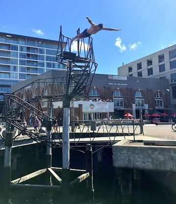 Wellington.Scoop » Sport