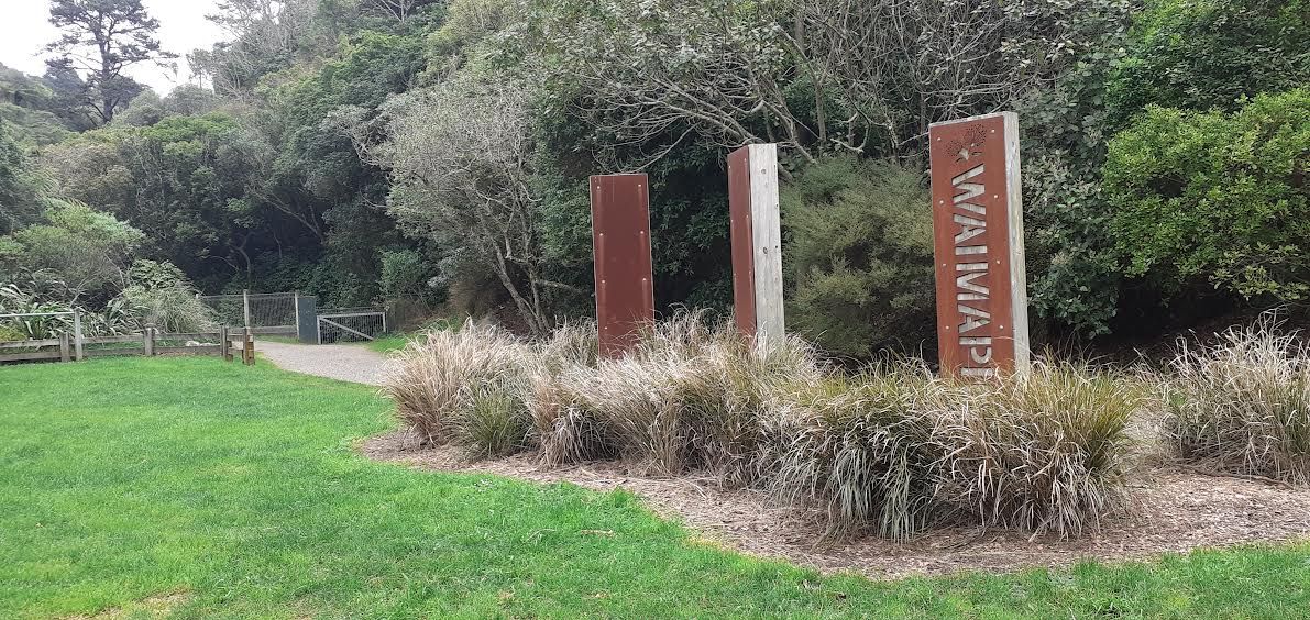 Wellington.Scoop » Shakespeare, cycling, tuna, and Aro Street